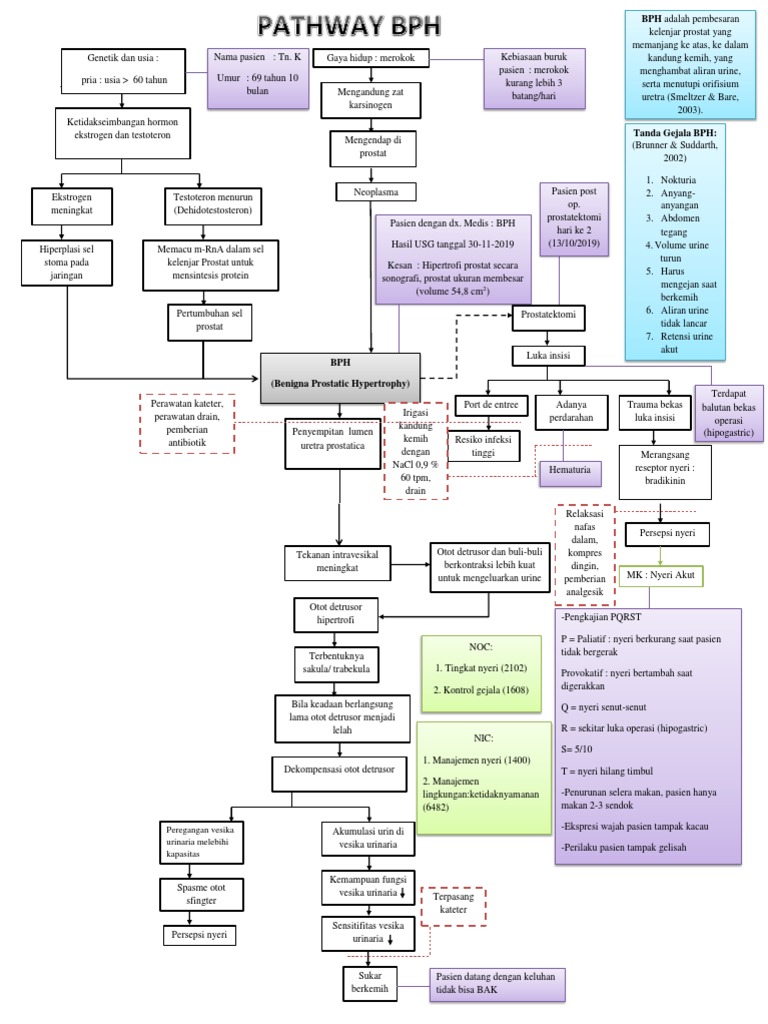 Pathway BPH Tasya | PDF