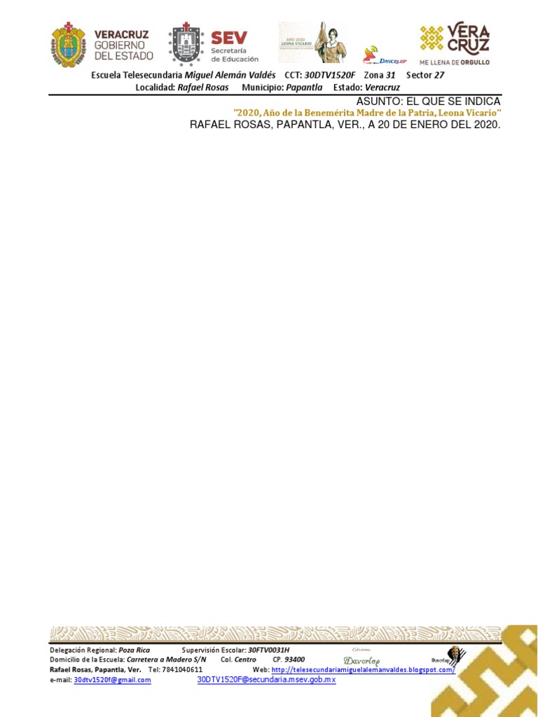 Formato Blanco | PDF