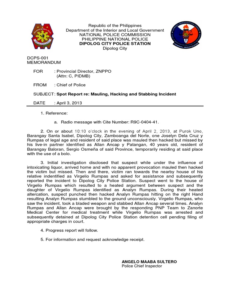 Spot Report, Progress Report and Final Report | PDF | Police | Prosecutor