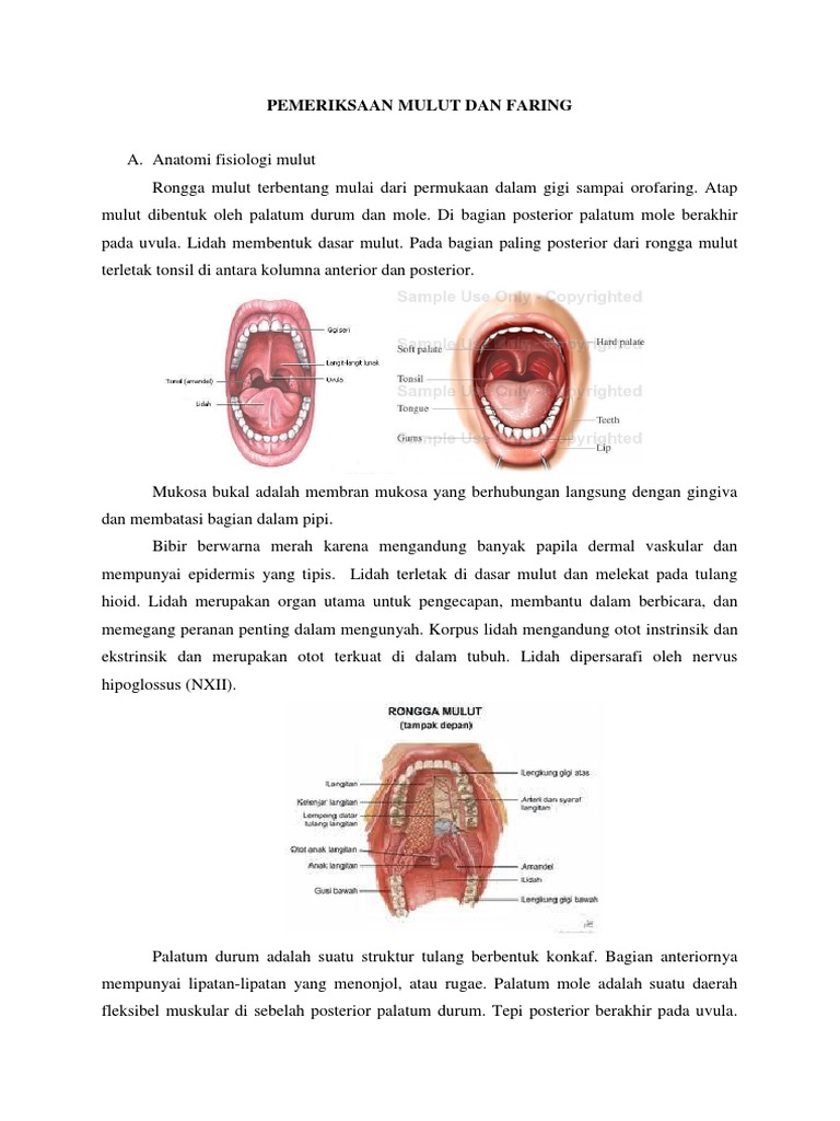 Pemeriksaan Mulut Dan Faring | PDF