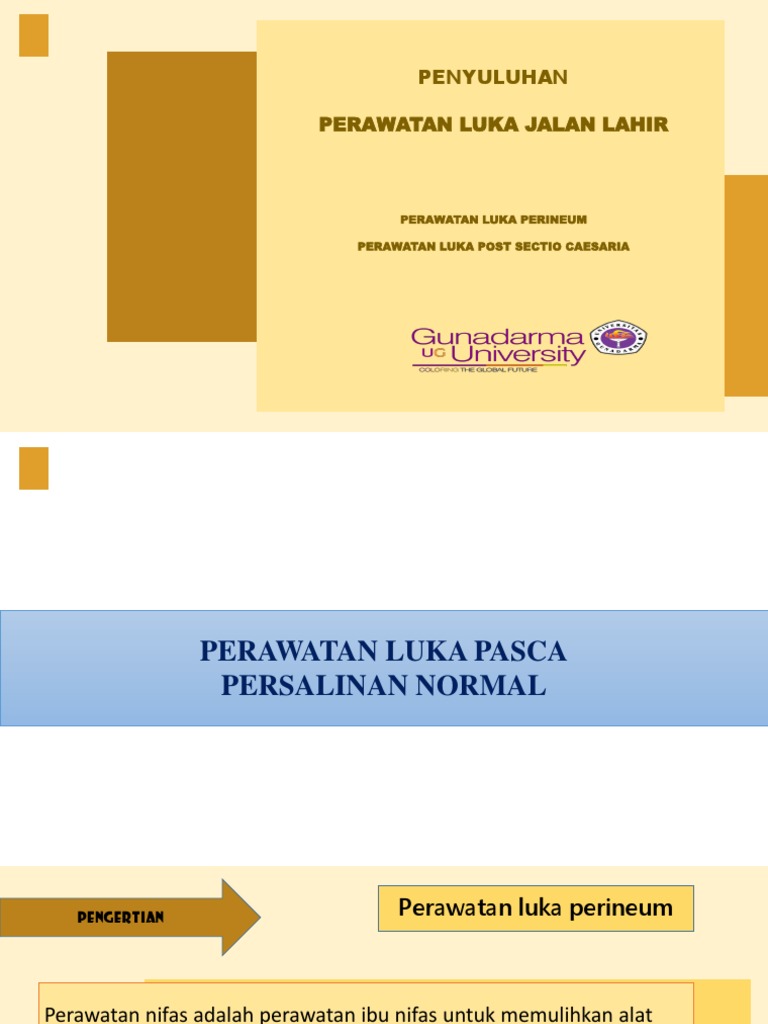 Perawatan Luka Perineum | PDF