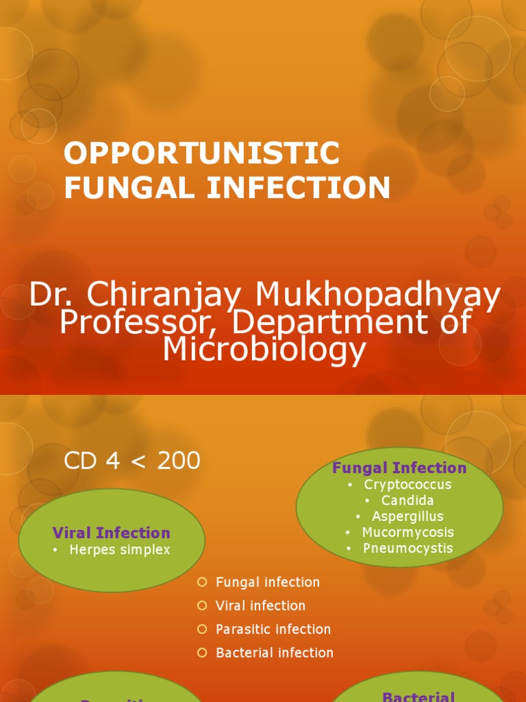 Opportunistic Fungal Infection PDF | PDF | Candidiasis | Aspergillus