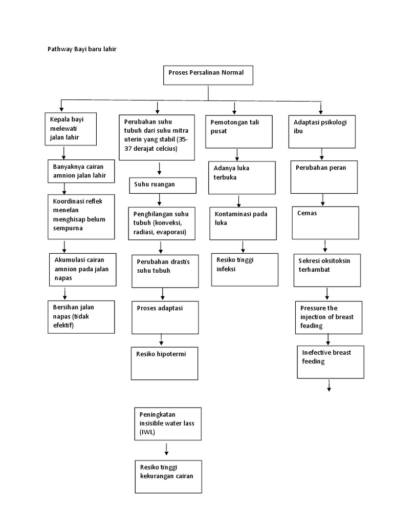 Pathway Bayi Baru Lahir | PDF