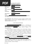 Modelo Poder General | PDF | Propiedad | Venezuela