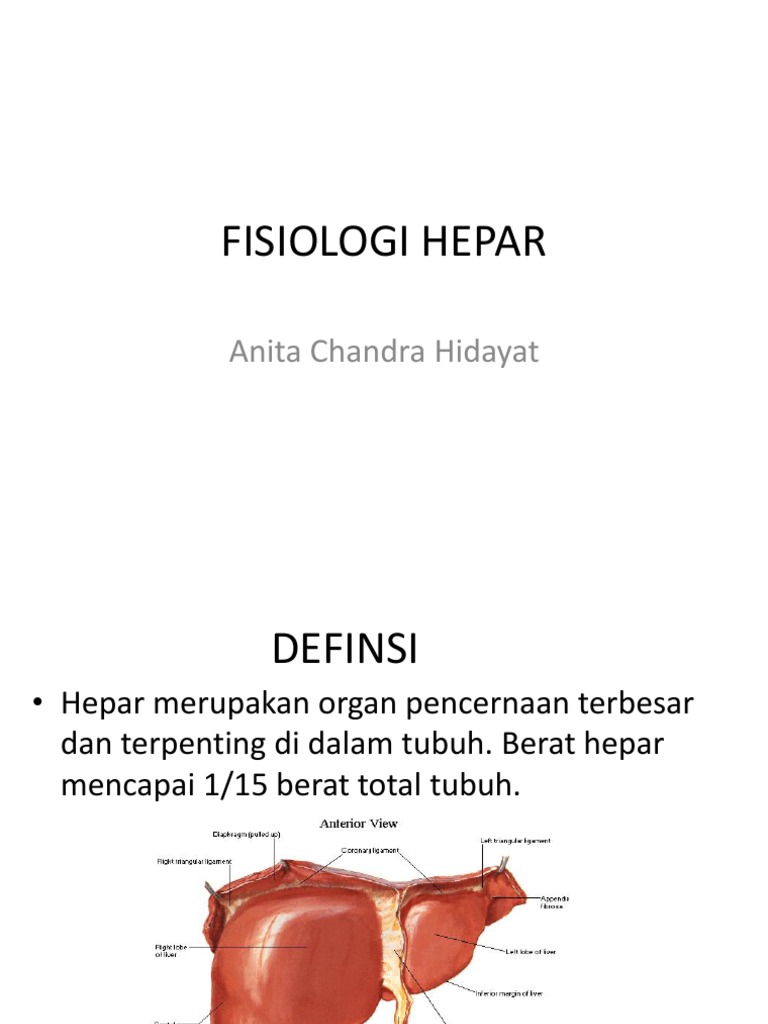 Fisiologi Hepar | PDF | Kesehatan Holistik