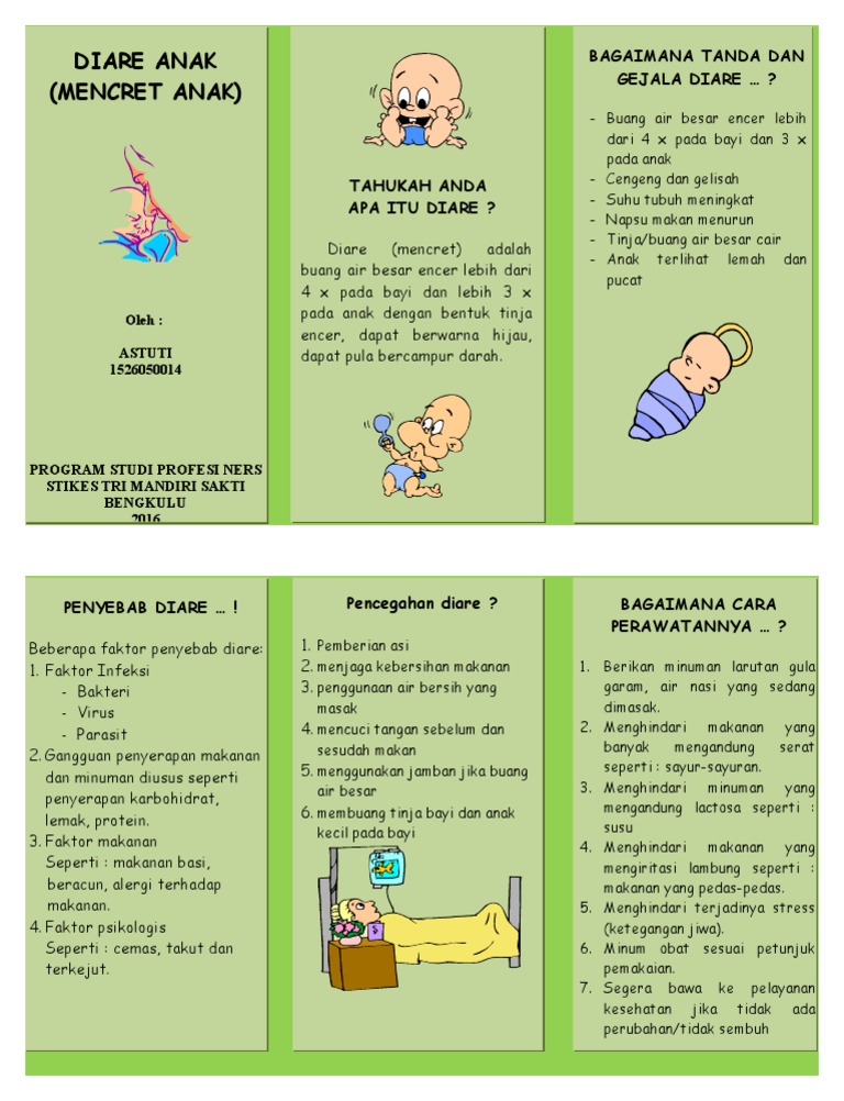 Leaflet Diare | PDF