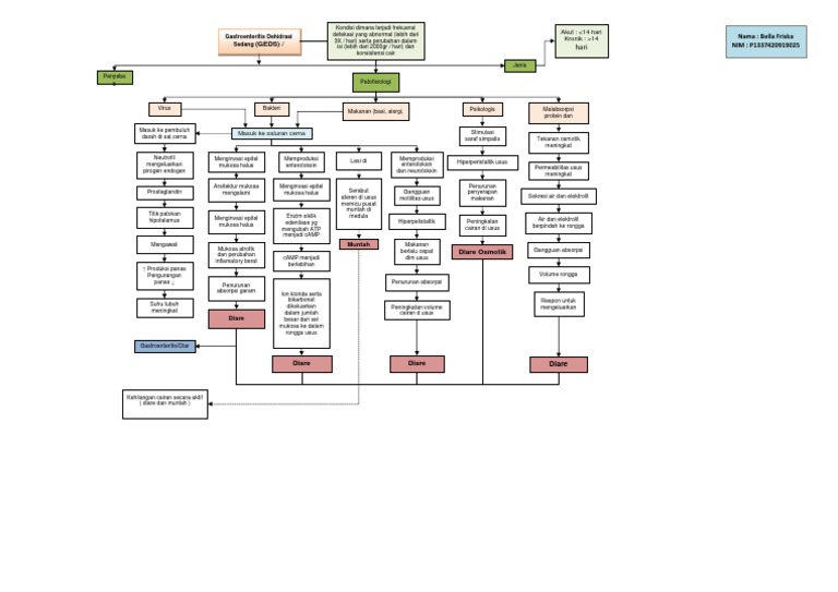 5.WOC Diare FIX | PDF
