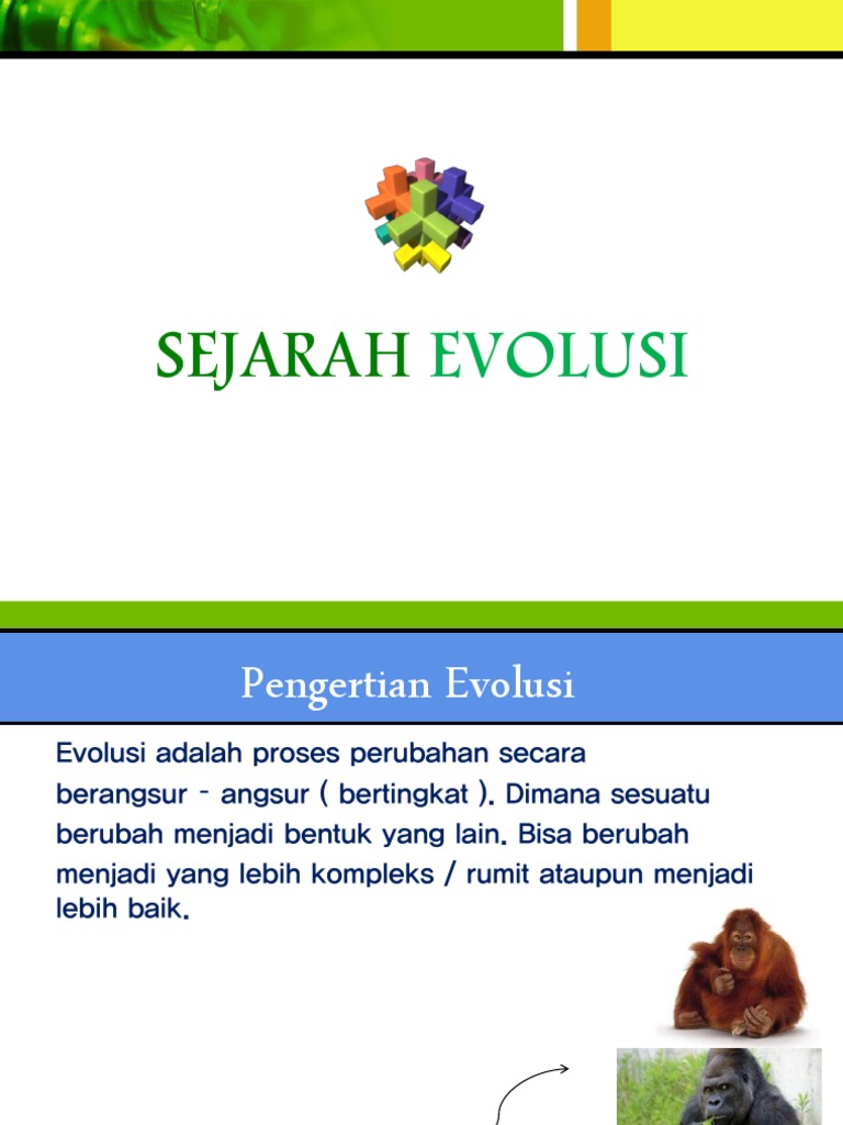 Evolusi | PDF