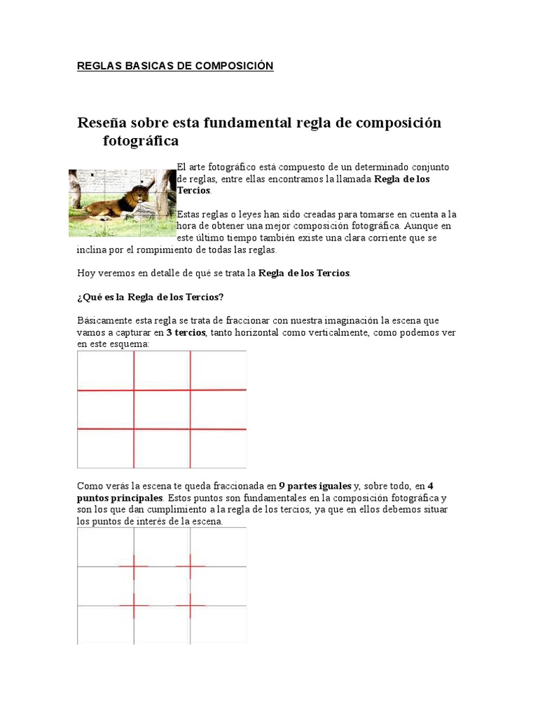 Reglas de Composicion | PDF