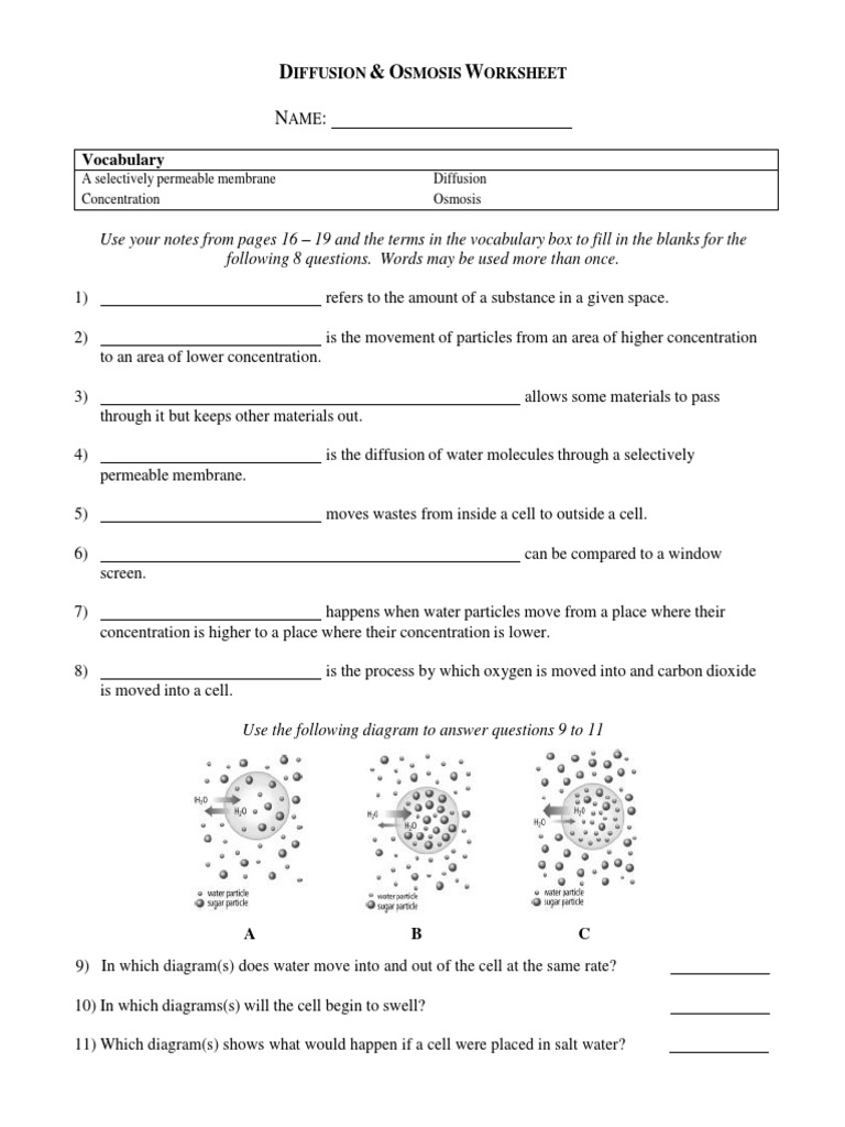 Diffusion-Osmosis-Worksheet 4 | PDF | Osmosis | Chemistry