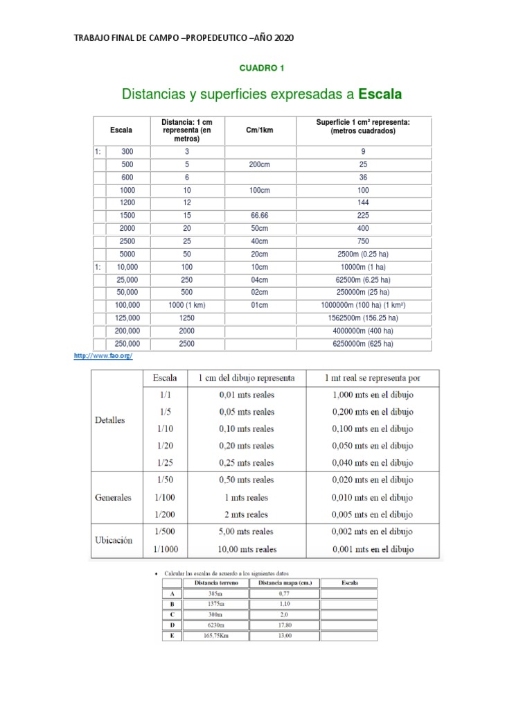 Escala y Su Equivalente en CM | PDF