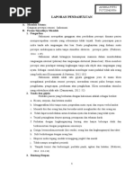 Laporan Pendahuluan Halusinasi | PDF