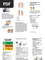 Triptico Higiene Postural | PDF | La columna vertebral | Anatomía humana
