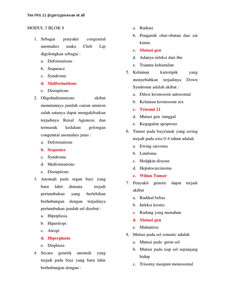 BLOK 8 Modul 3 Soal JWB | PDF