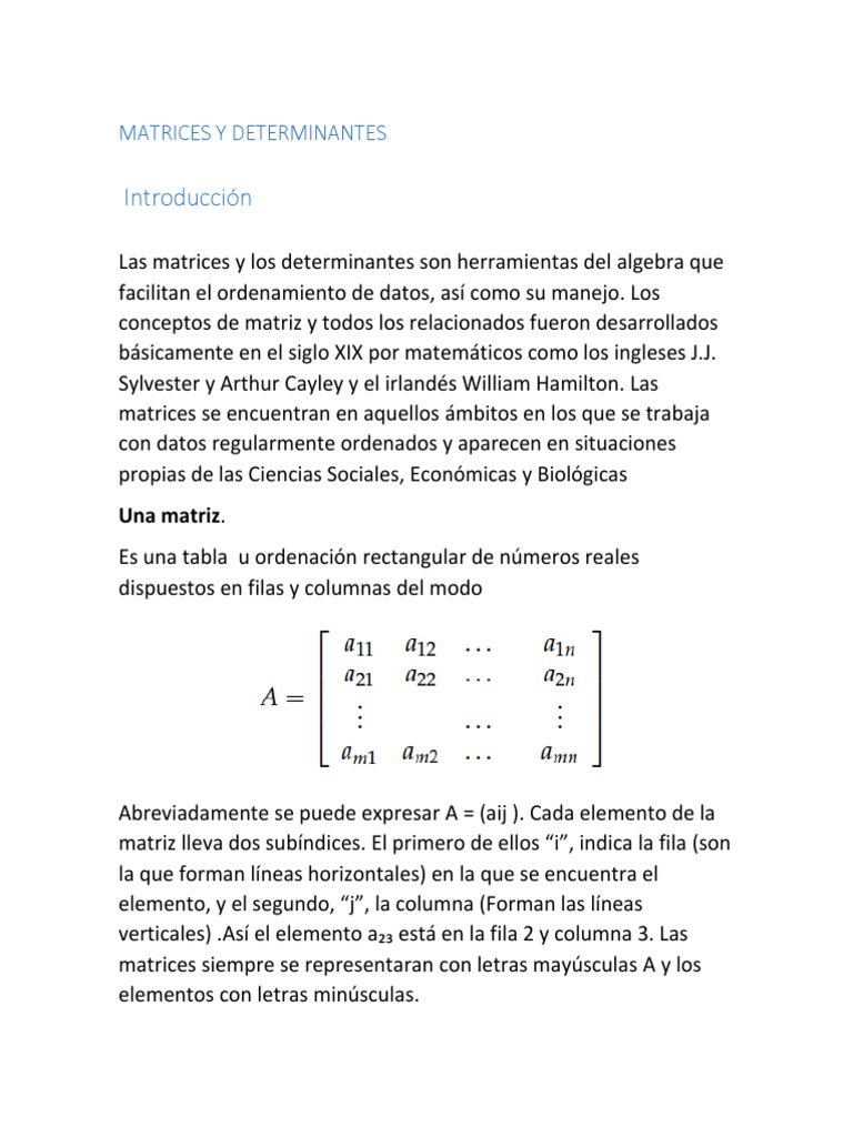 Matrices y Determinantes: Conceptos Clave | PDF | Matriz (Matemáticas ...