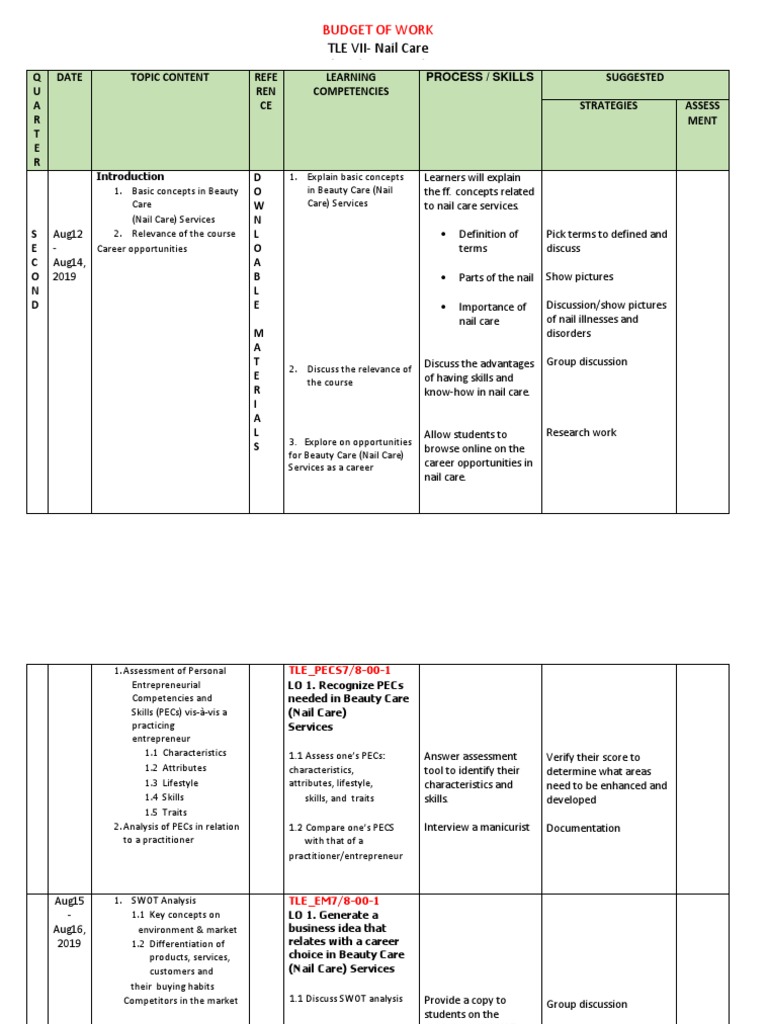 Budget of Work In-Nail Care - 7 | PDF | Swot Analysis | Personal ...