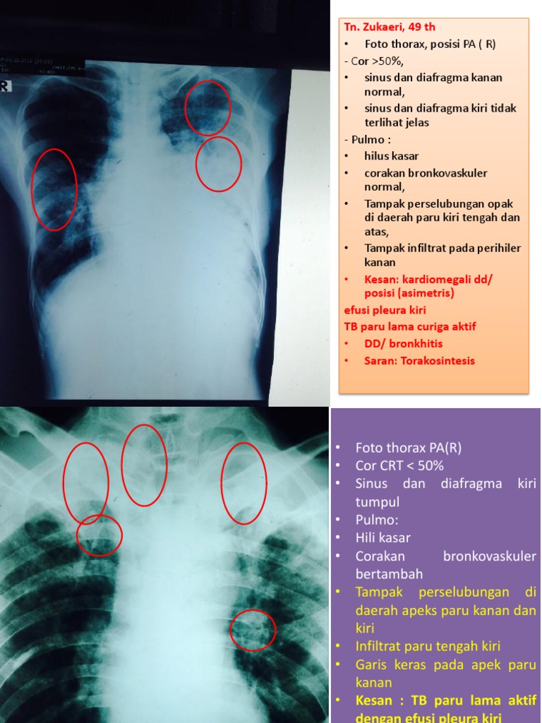 Ujian | PDF | Seni | Sains & Matematika