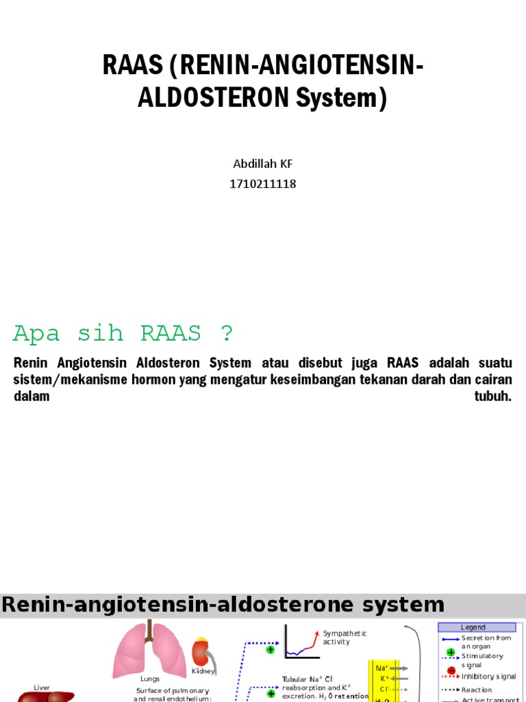 RAAS (RENIN-ANGIOTENSIN-ALDOSTERON System) | PDF