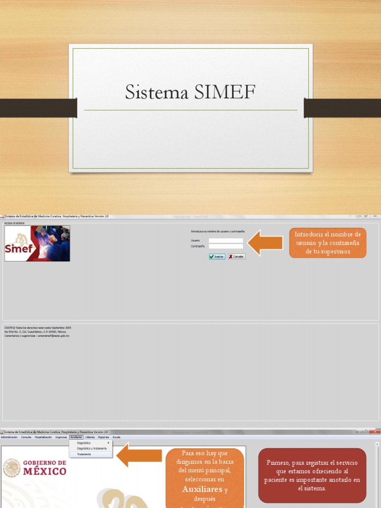 Guía de Uso del Sistema SIMEF | PDF | Contraseña | Cuidado de la salud