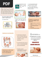 Trigonitis: Causas, Síntomas y Tratamiento | PDF | Vejiga urinaria ...