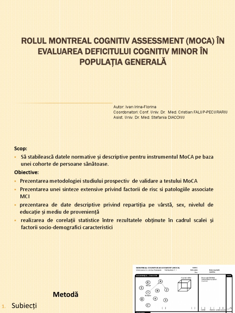 Ivan Irina-Florina | PDF