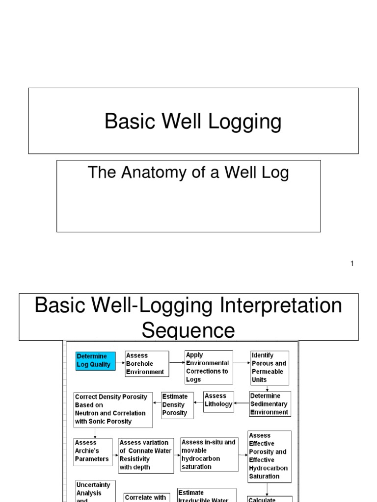 Anatomy of Well Logs Explained | PDF | Petroleum | Natural Gas