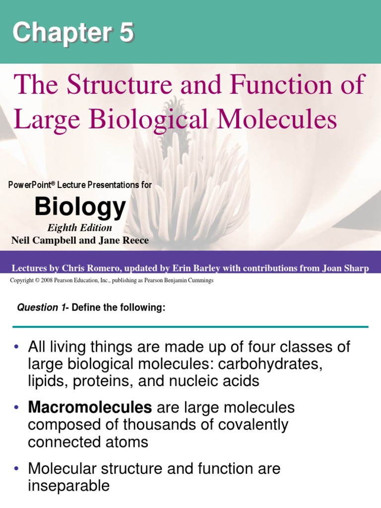 AP Bio Chapter 5 Lecture | PDF | Fat | Nucleotides