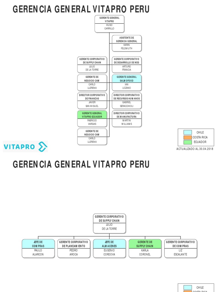 Estructura Gerencial Vitapro Perú | PDF | Control (social y político ...