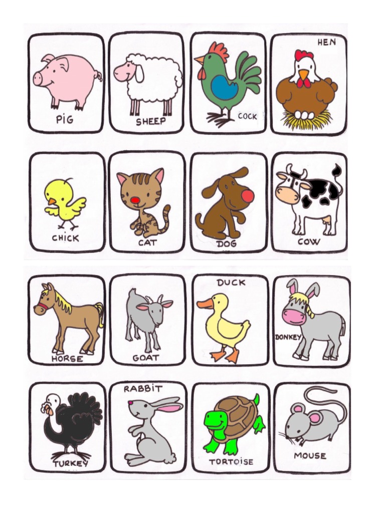 Animales Salvajes en Kiche Con Imagenes | PDF