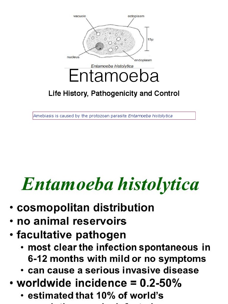 Entamoeba Histolytica | PDF | Medical Specialties | Clinical Medicine