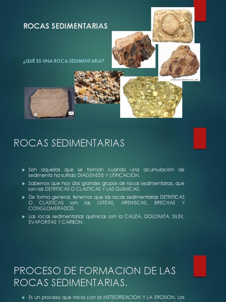 Rocas Sedimentarias 1 | PDF | Roca clástica | Roca sedimentaria