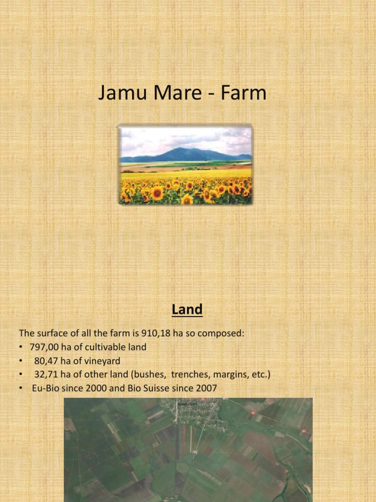 Jamu Mare Farm | PDF | Wine | Grape