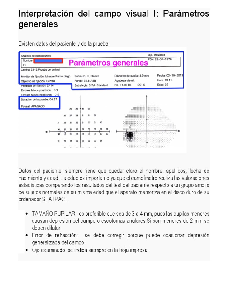 Interpretación Del Campo Visual | PDF | Percepción visual | Ojo humano