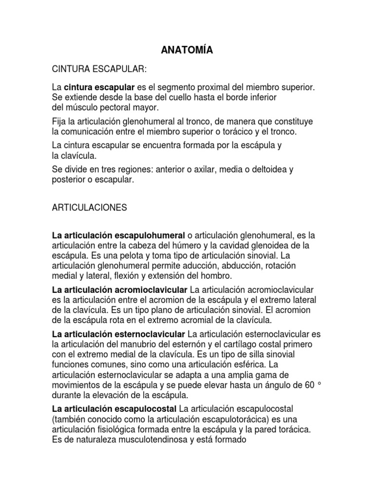 Anatomía - Cintura Escapular, Miembro Superior y Mano | PDF | Mano | Hombro