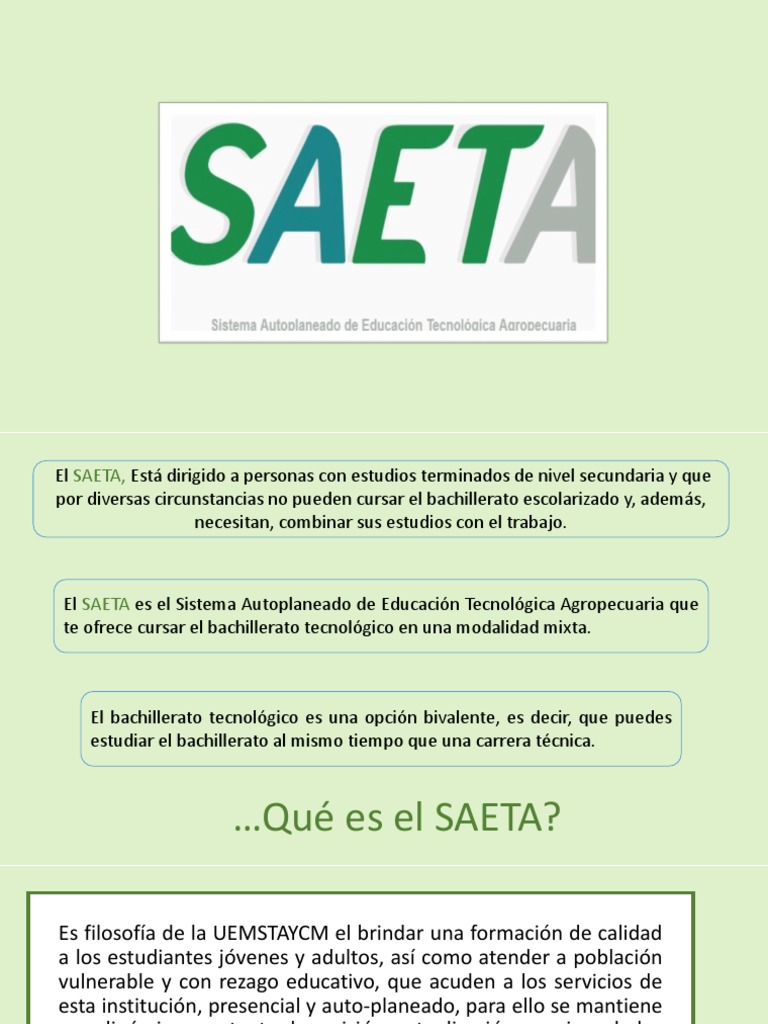Bachillerato Autoplaneado Bivalente SAETA | PDF | Plan de estudios | Educación Secundaria