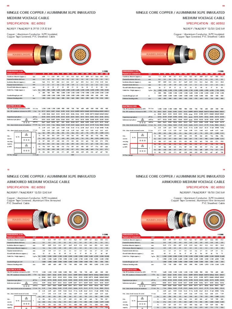 Specification Sheet for Single Core Copper/Aluminum XLPE Insulated ...