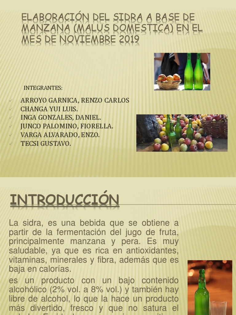 Elaboración Del Sidra | PDF | Sidra | manzana