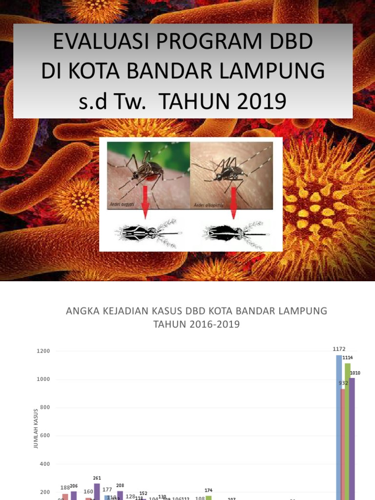 Data DBD DINAS KESEHATAN KOTA BANDAR LAMPUNG | PDF