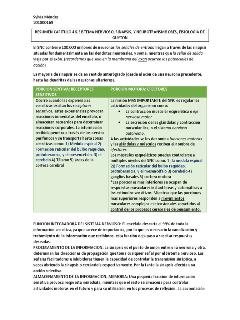 Resumen Capitulo 46 Guyton | PDF | Sinapsis | Neurona