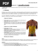 Anatomía y Fisiología Del Apéndice | PDF | Intestino grueso | Tracto ...