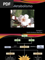 Zimogenos o Proenzimas | PDF | Salud y bienestar