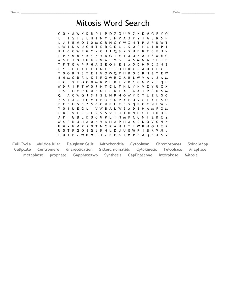 Mitosis Word Search | Download Free PDF | Cell Cycle | Biochemistry