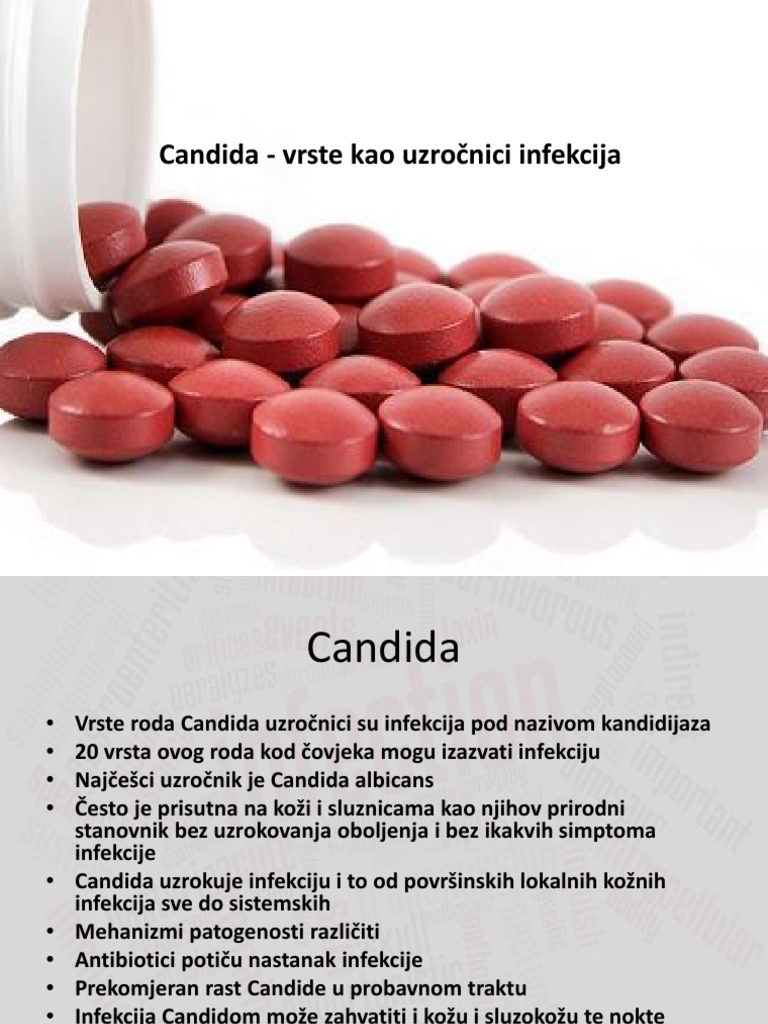 Candida - Vrste Kao Uzrocnici-Prezentacija | PDF