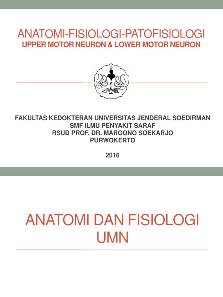 Umn & LMN | PDF | Sains & Matematika