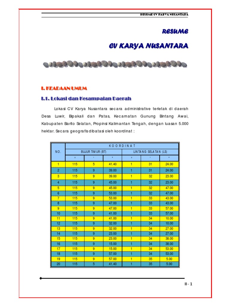 Resume CV Karya Nusantara PDF | PDF