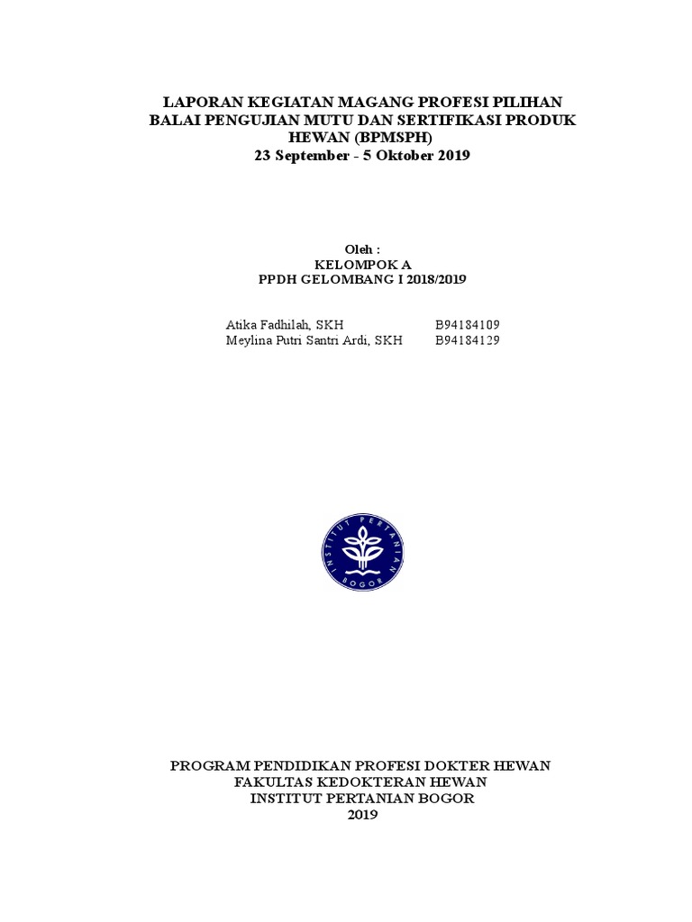 Draft 2 Laporan Mapropil BPMSPH Meme Dan Atika | PDF