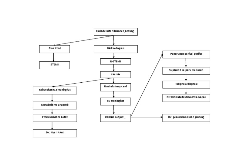 Pathways Nstemi | PDF