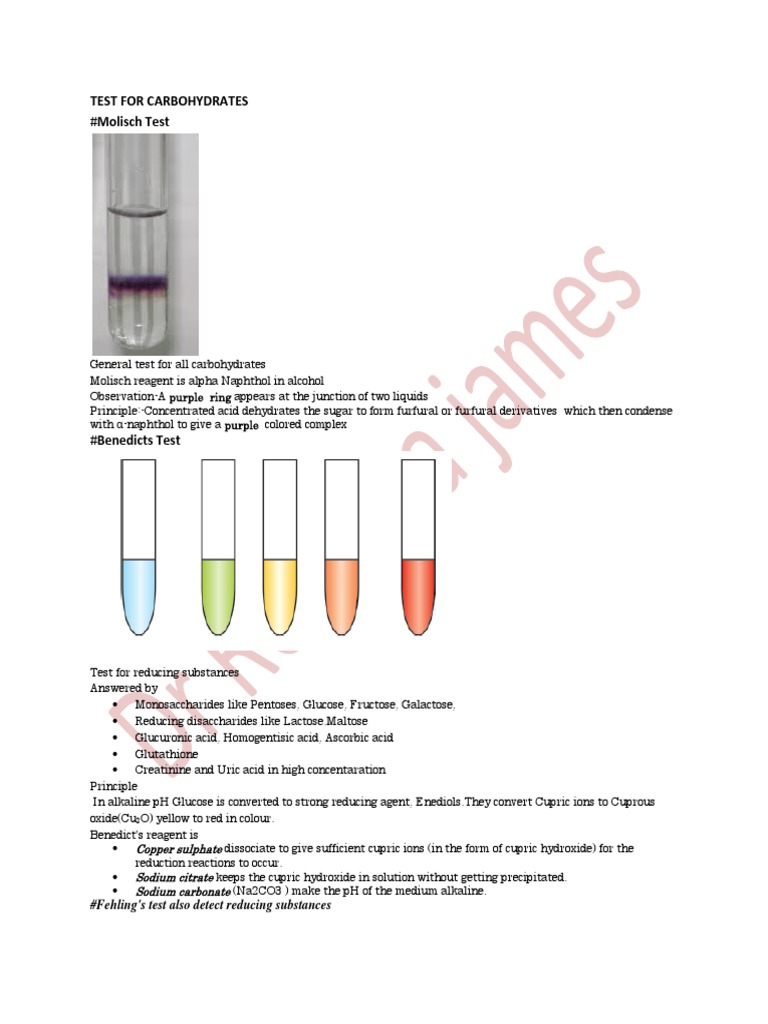 Carbohydrate Testing Methods Explained | PDF | Materials | Chemical ...