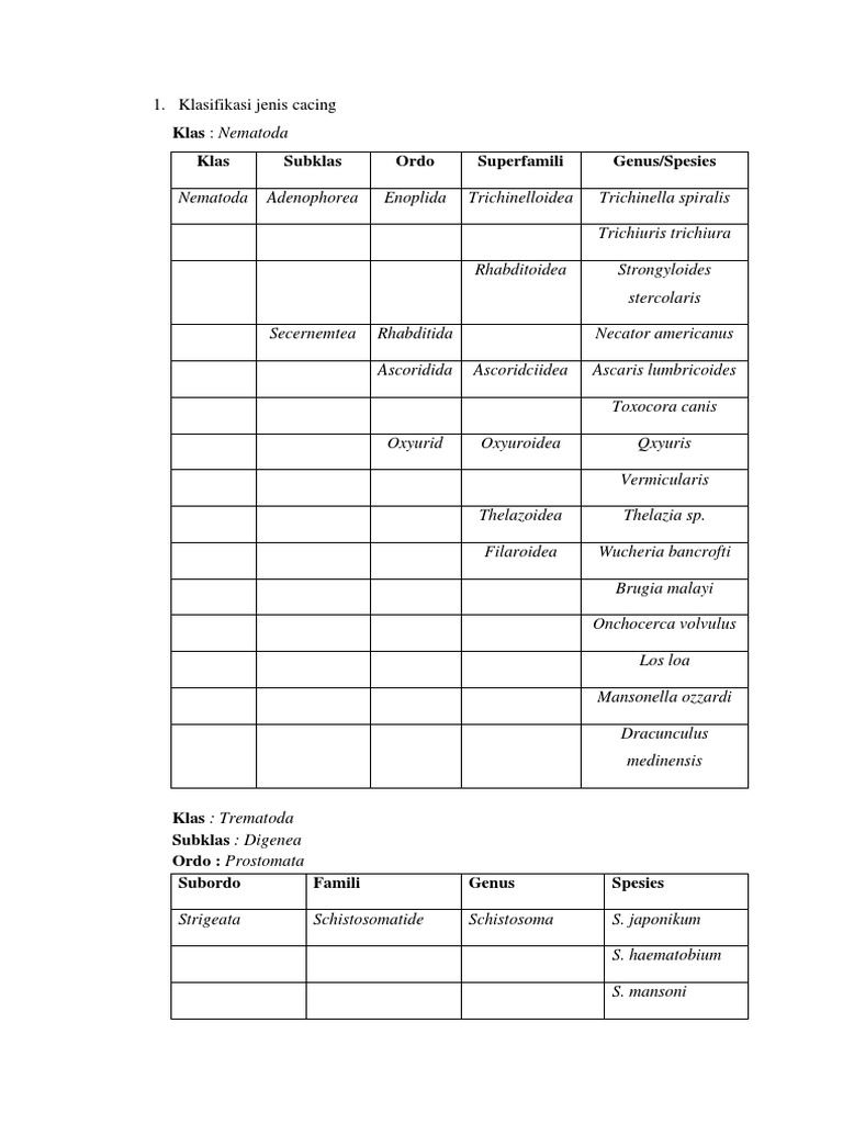 Klasifikasi Jenis Cacing | PDF