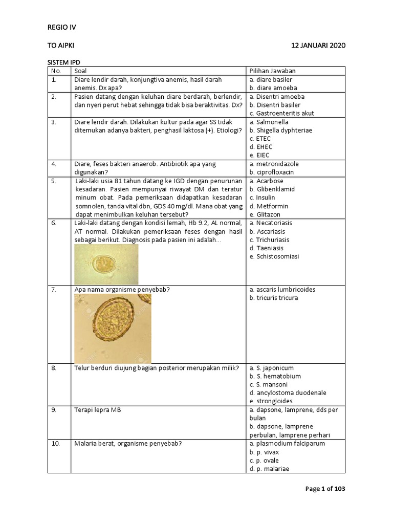 AIPKI 2020 Terjawab Februari | PDF